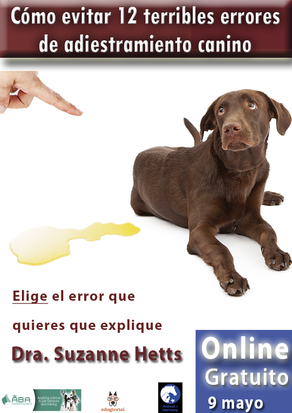 Cómo evitar 12 terribles errores de adiestramiento canino. Suzanne ...